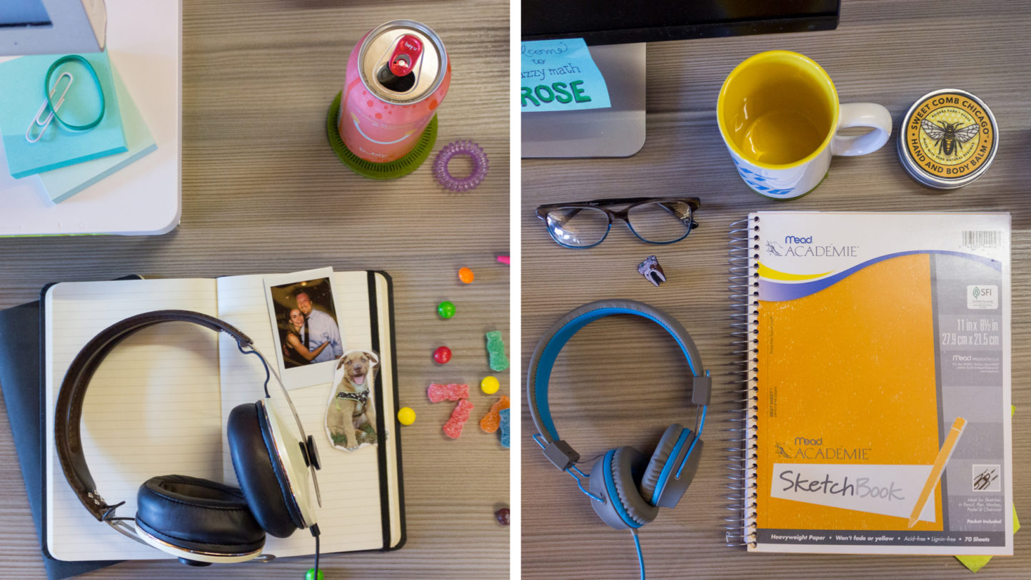 Fuzzy Math Spotlight: Rachel S. & Rose | Fuzzy Math