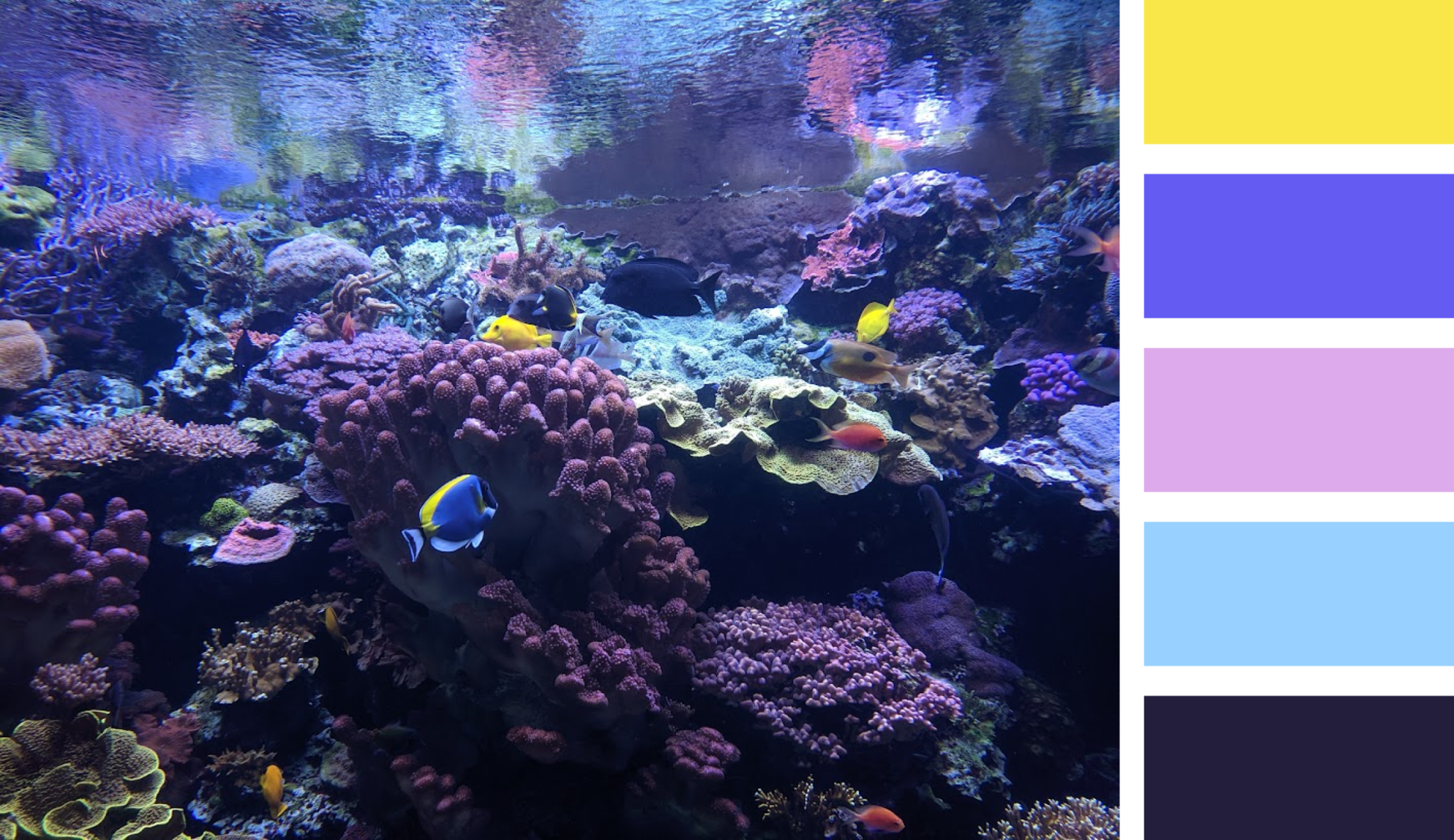 Why is Choosing Colors so Difficult? | Fuzzy Math