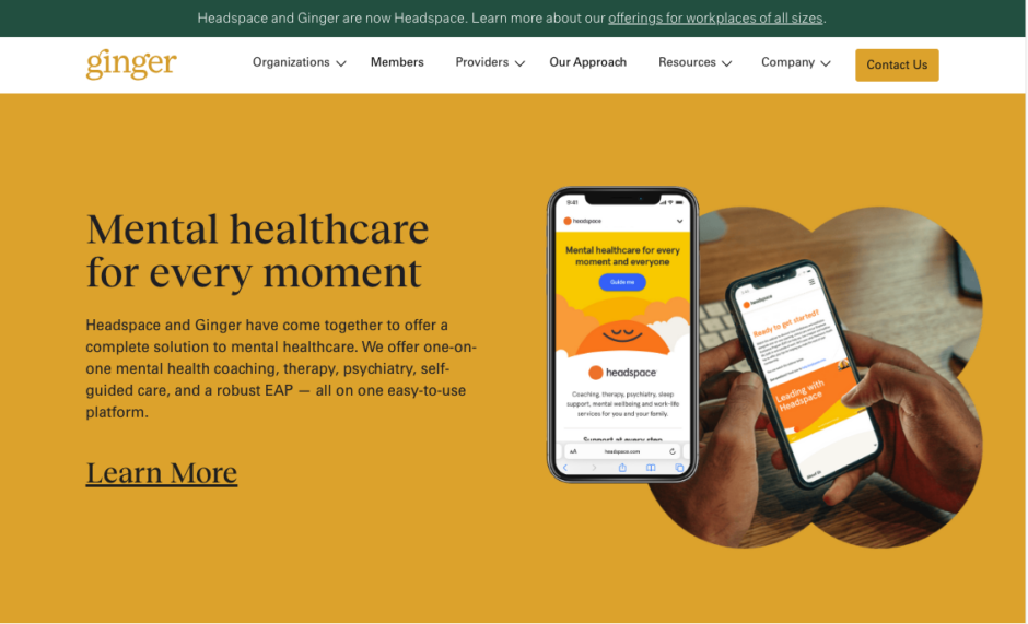 The Color Palettes of Mental Healthcare UI | Fuzzy Math